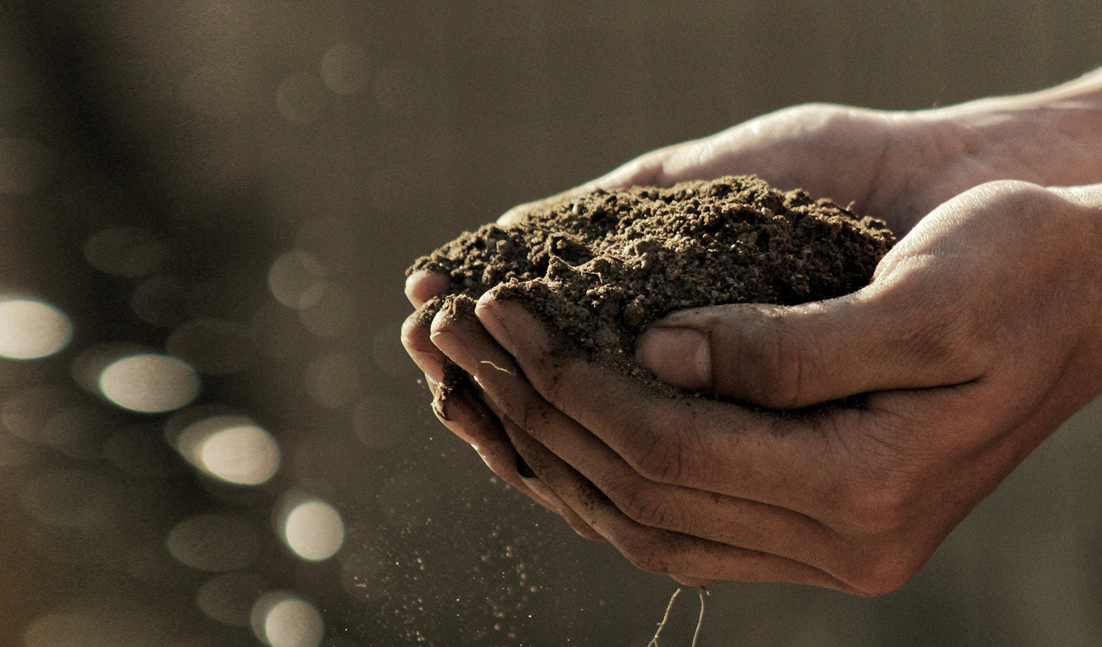 Earth Day 2023 - Invest In Your Planet – Biogenic CBD