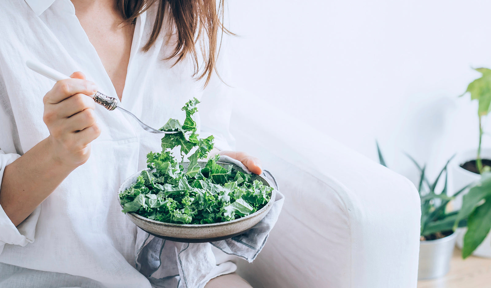 Get Your Gut Going - how to have a happy gut – Biogenic CBD